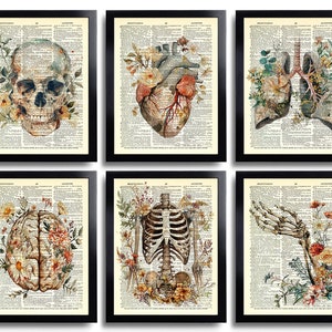 Anatomy Print Set 6 Medical Wall Art Anatomical Poster Home Decor Gifts ...