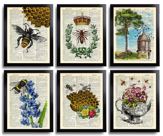 Bee Decor Bees Set of 6 Prints Bee Farmhouse Decor Bees Poster - Etsy