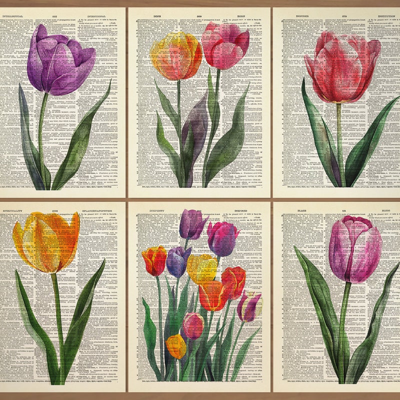 Tulip Print - Etsy