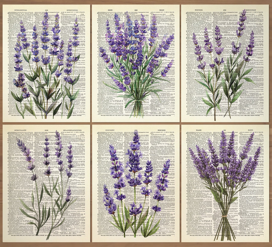 Lavender Prints Set of 6 Wildflower Poster Lavender Wall Art Wild ...