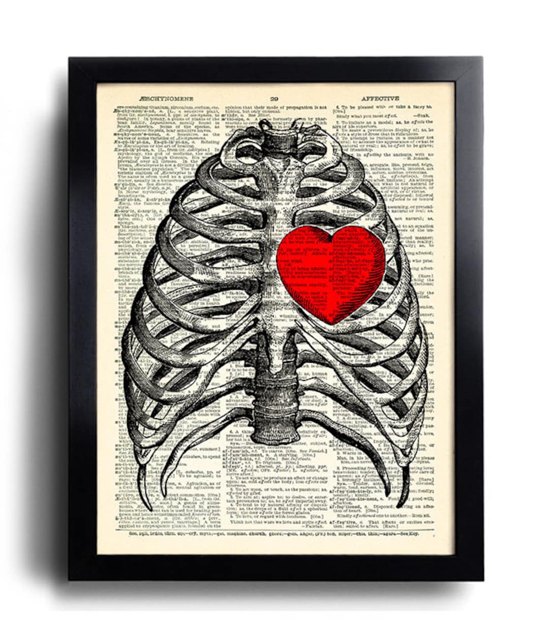 Heart Anatomy Ribcage Anatomical Heart Skeleton Art Print , Anniversary ...