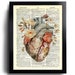 Anatomy Print Set 6 Medical Wall Art Anatomical Poster Home Decor Gifts ...
