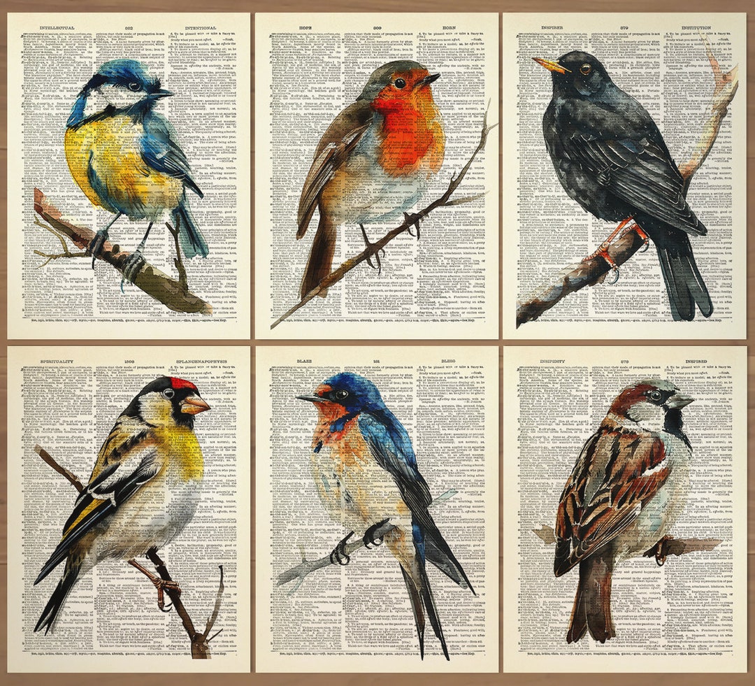 Bird Print Set of 6 Birds Poster Chickadees Print Robin Bird Gift ...