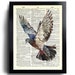 Pigeon Print Set of 6 Pigeon Poster Pigeon Bird Print Pigeon Wall Art ...
