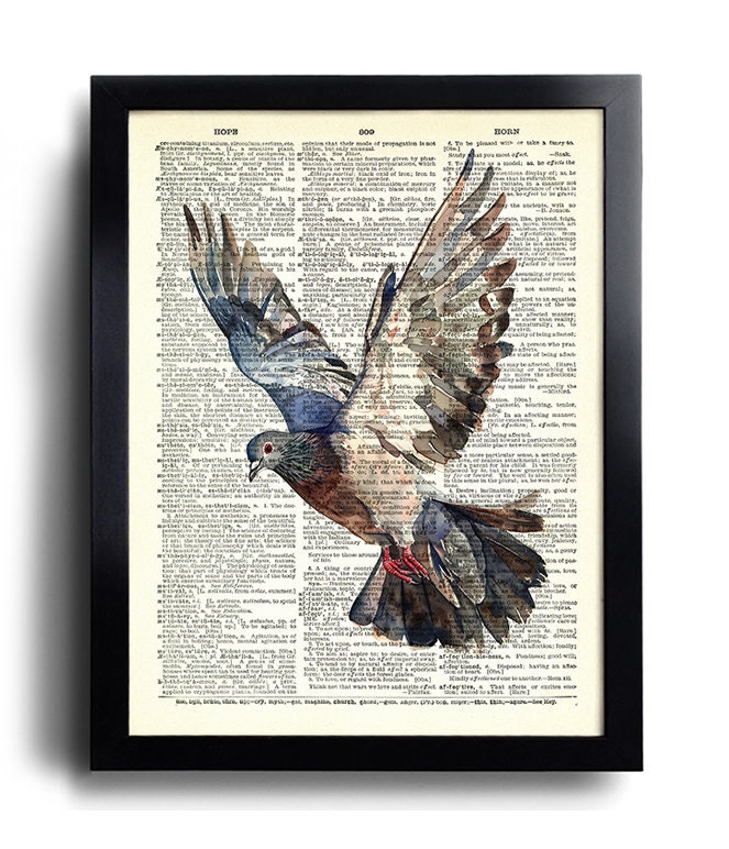 Pigeon Print Set of 6 Pigeon Poster Pigeon Bird Print Pigeon Wall Art ...
