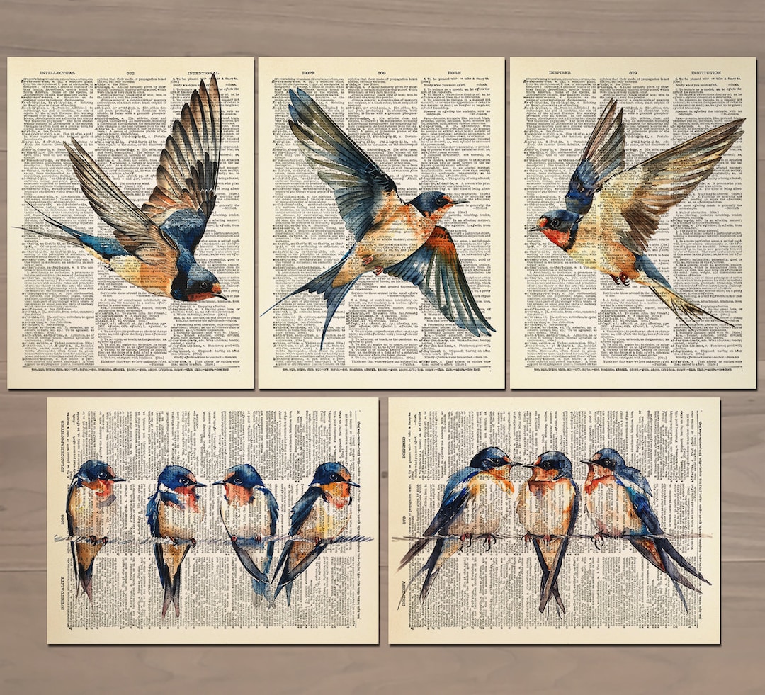 Swallow Print Set of 5 Swallow Poster Swallow Bird Print Swallow Wall ...