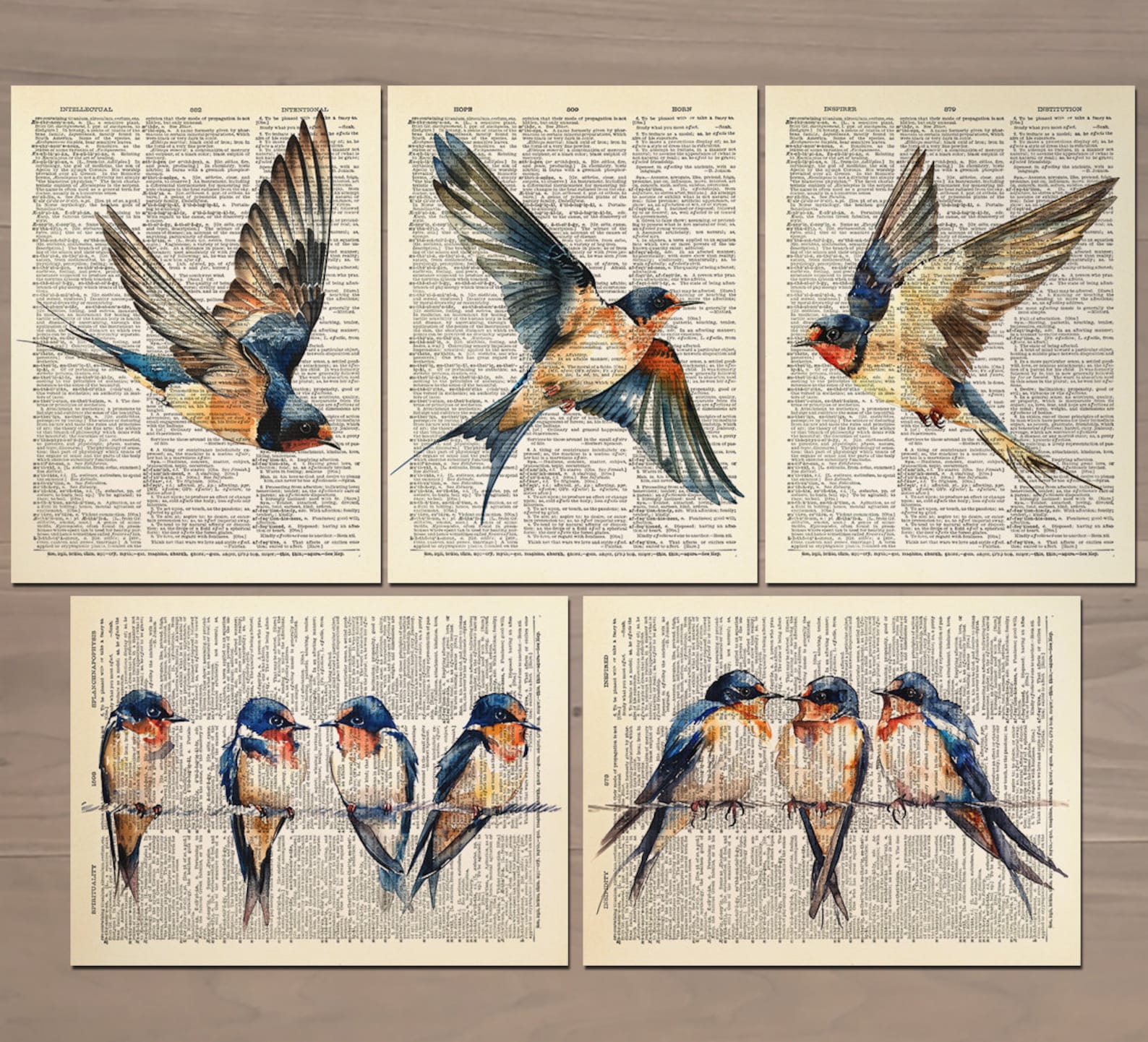 Swallow Print Set of 5 Swallow Poster Swallow Bird Print Swallow Wall ...