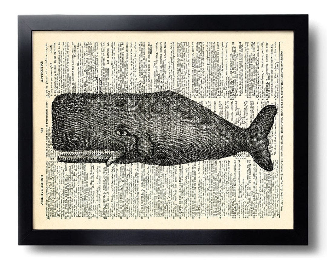 Whale Art Print , Bedroom Wall Decor, Decorative Art, Whale Wall ...