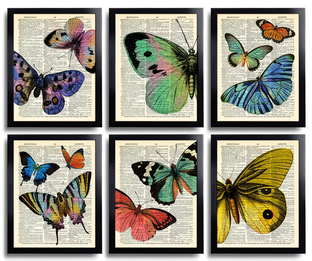 Butterfly Print Butterflies Set of 6 Prints Vintage Butterfly - Etsy
