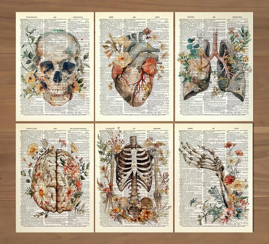 Anatomy Print Set 6 Medical Wall Art Anatomical Poster Home Decor Gifts ...