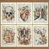 20 Watercolor Anatomy Art Medical Painting Clinical Decor Medical ...