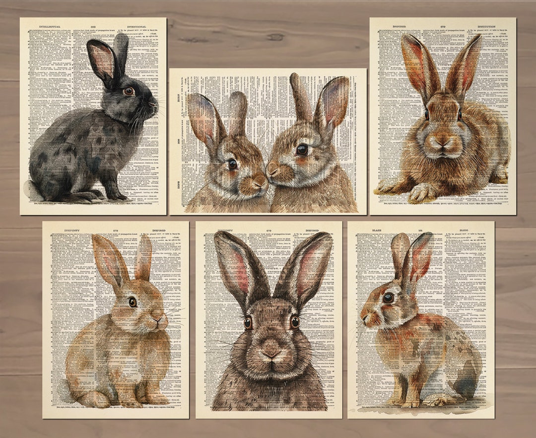 Rabbit Art Print Set of 6 Rabbit Wall Art Rabbit Poster Rabbit Painting ...