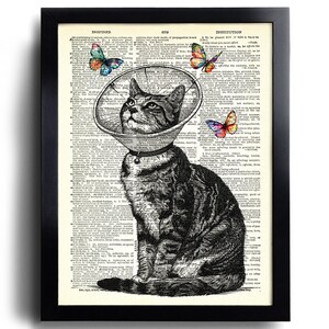 Veterinarian Print Set of 6 Animal Vet Wall Art Veterinarian Office ...
