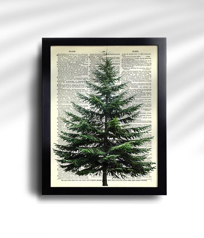 Pine Tree Print Set of 6 Pine Poster Pine Cone Print Forest Art Country ...