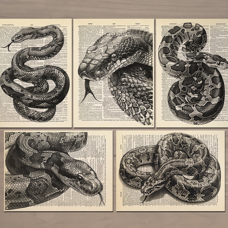Snake Wall Art - Etsy
