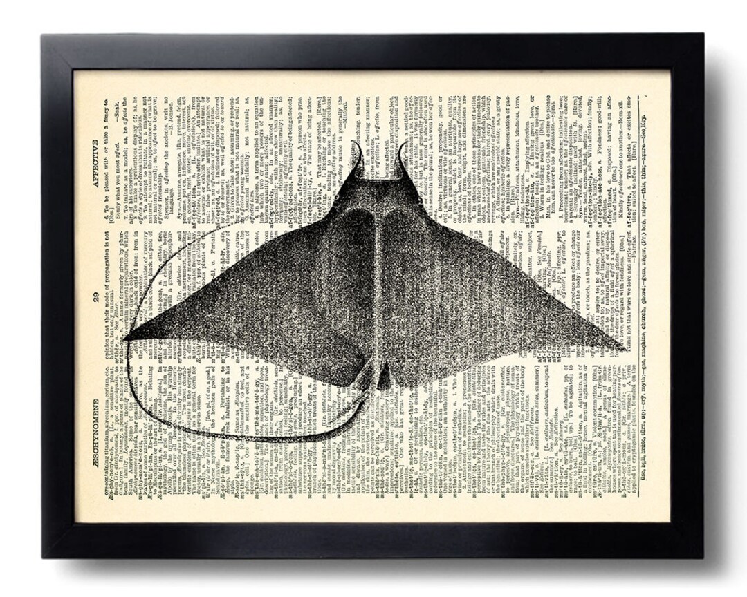Manta Ray Art Print Dictionary Page, Bathroom Wall Decor, Bathroom Art ...