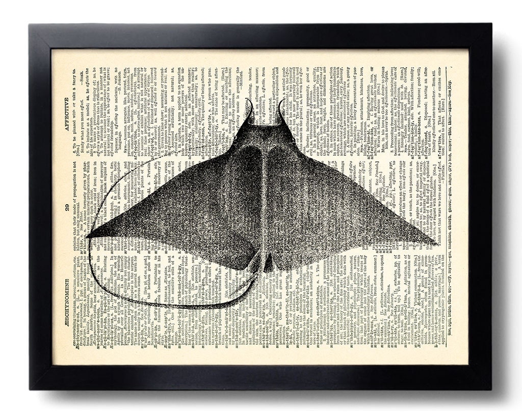 Manta Ray Art Print Dictionary Page Bathroom Wall Decor | Etsy