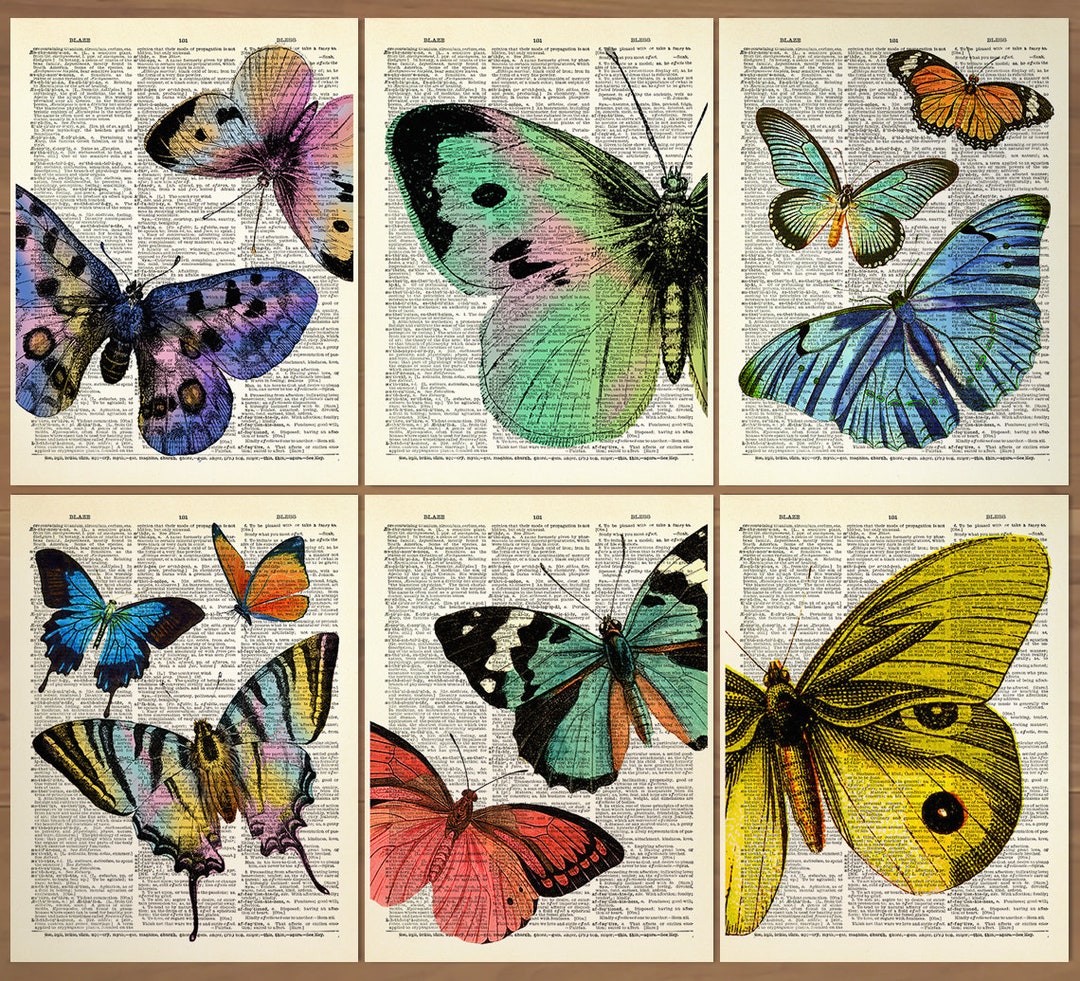 Butterfly Print Butterflies Set of 6 Prints Vintage Butterfly Poster ...