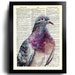 Pigeon Print Set of 6 Pigeon Poster Pigeon Bird Print Pigeon Wall Art ...