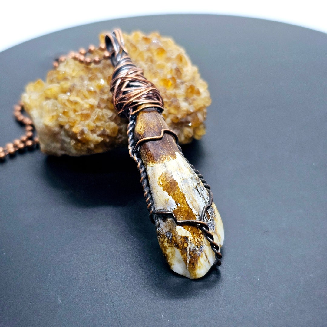 Buffalo Tooth Bison Necklace Wire Wrapped in Copper Protection Talisman ...