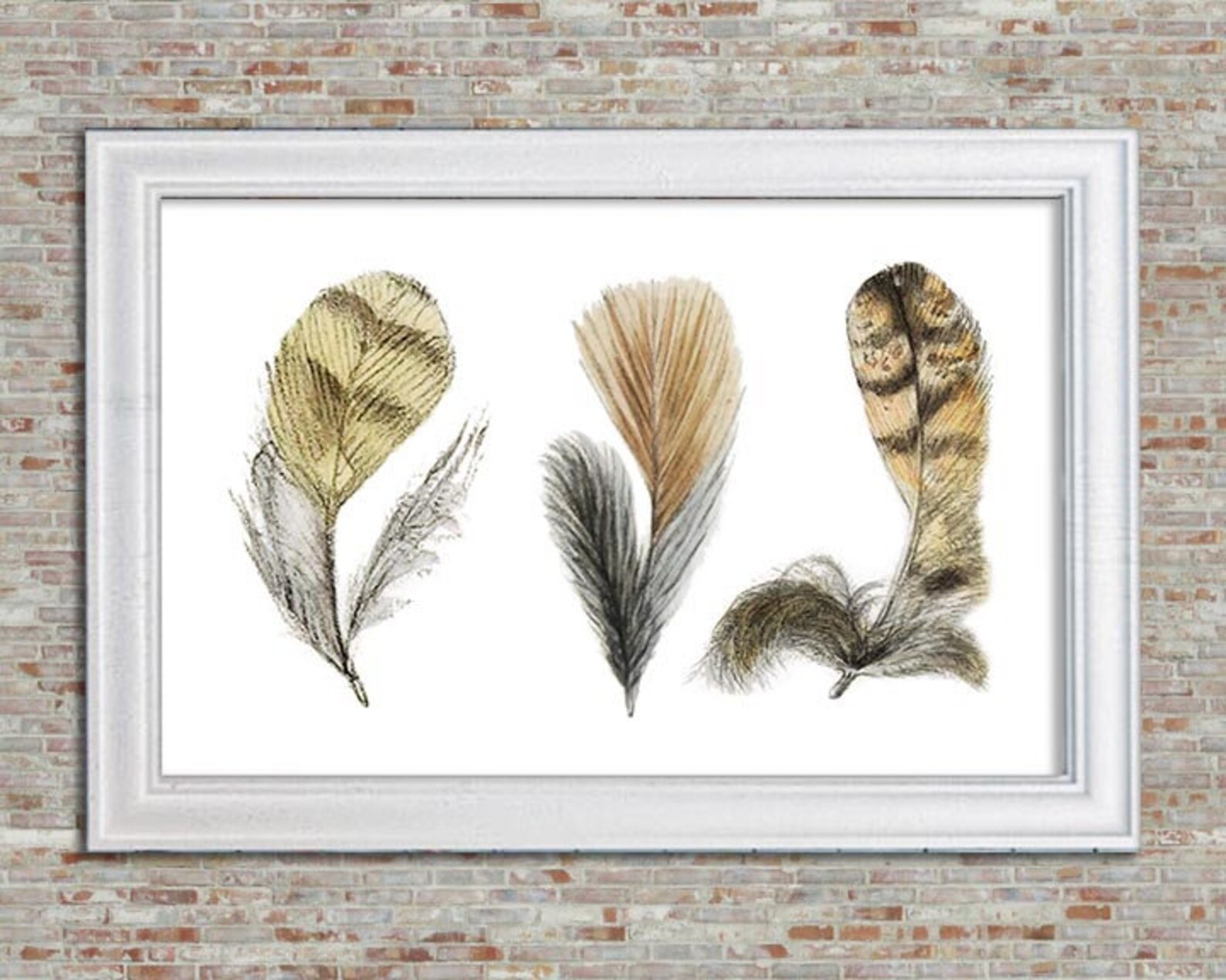Beige,black, Tan Vintage Feather Print, Feather Art Print, Printable ...