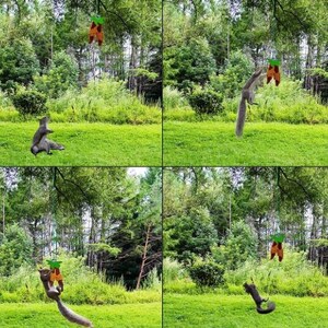 Bungee Squirrel Feeder – Fun Outdoor Feeder for Corn Cobs | Great Gift ...