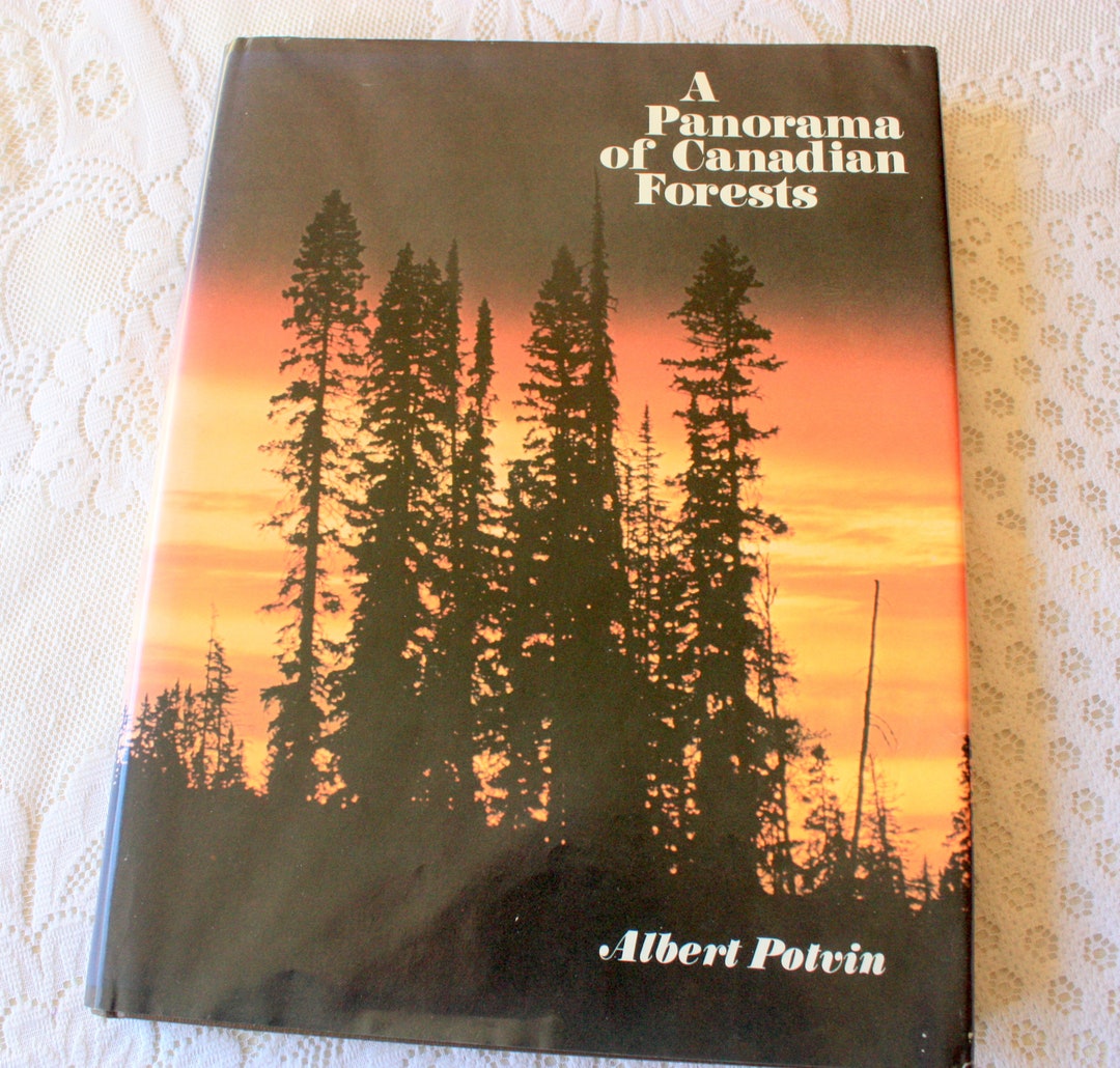 A Panorama of Canadian Forests Book, Canada Picture Book, Canada Trees ...