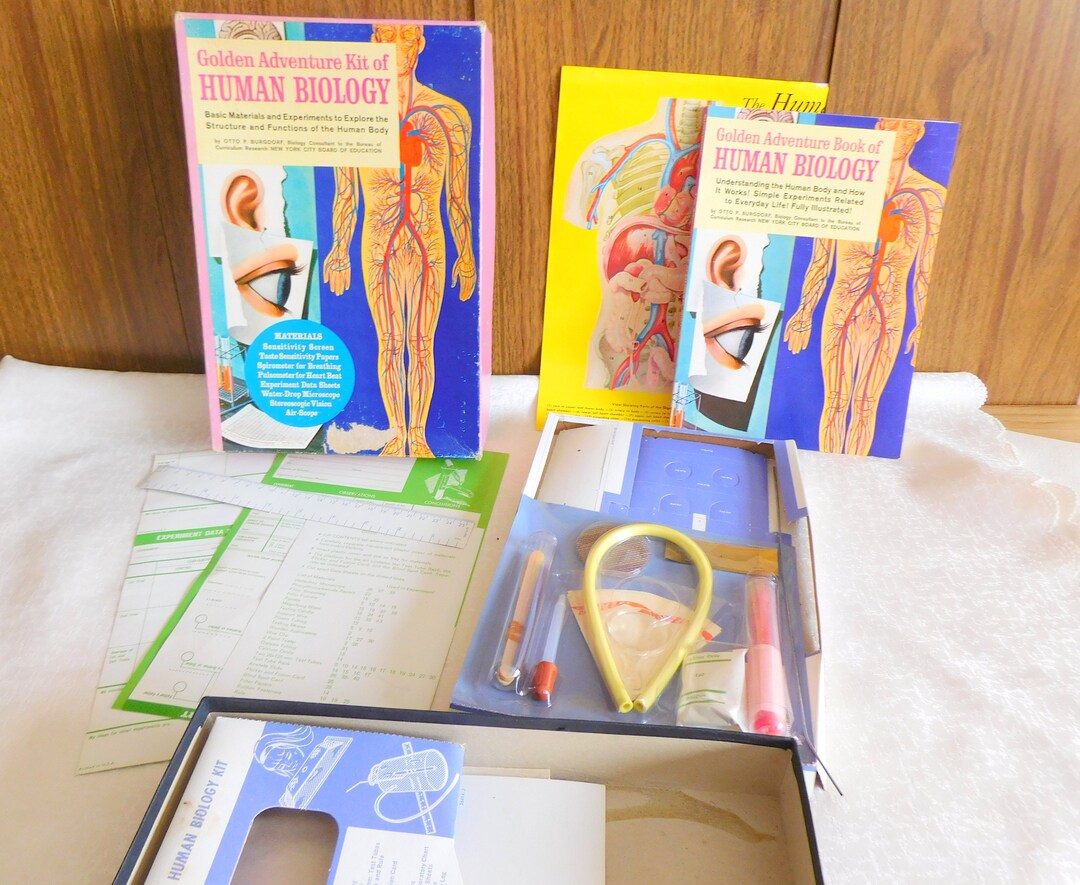 Golden Adventure Kit of Human Biology, Book and Experiments , Anatomy ...
