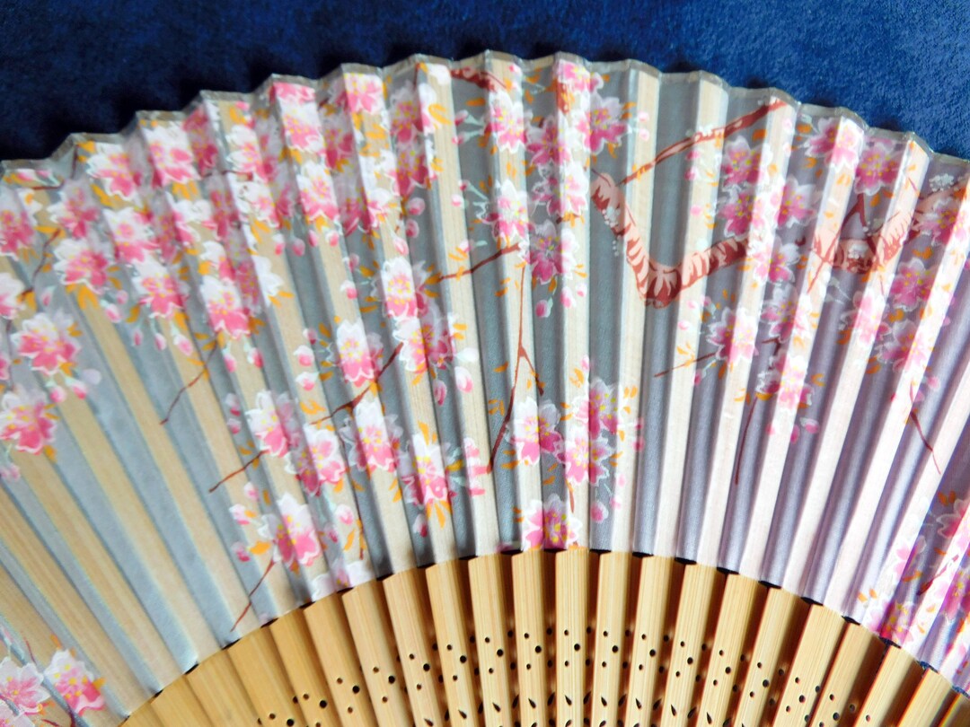 Beautiful Hand Fan Decorated With Blossoms, Pink Folding Fan, Blossoms ...