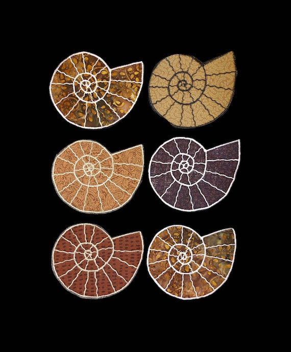 Ammonite Embroidery Machine Designs