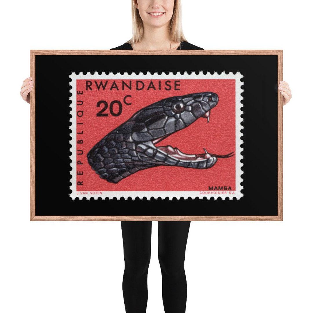 Rwanda Stamp #194 - 1964 Mamba Snake - Framed Photo - Etsy