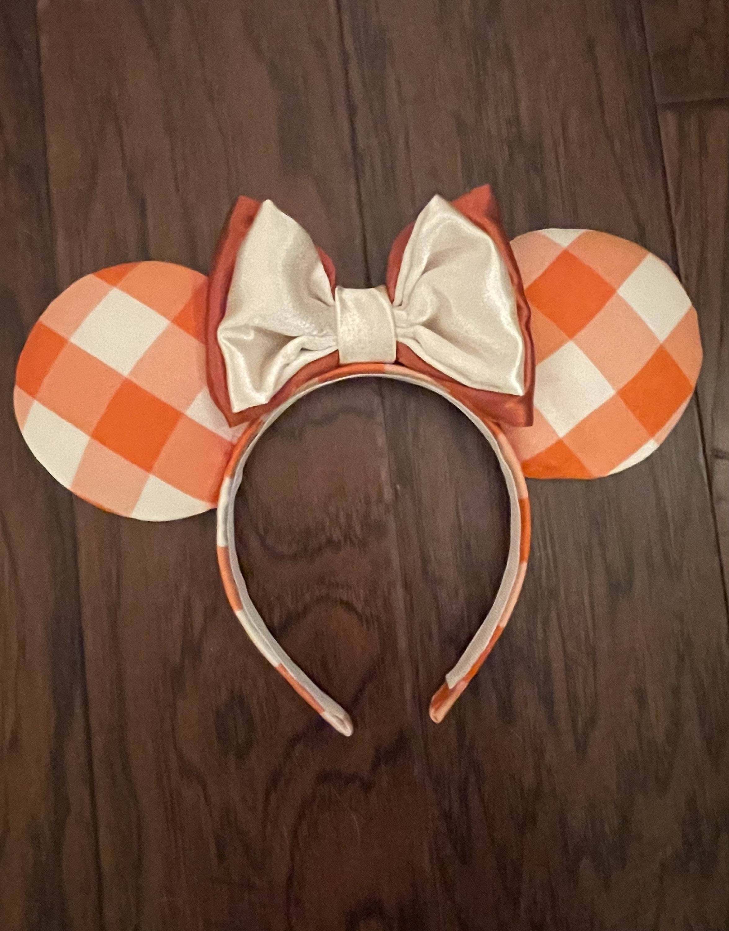 Bluey and Bingo Inspired Minnie and Mickey Ears - Etsy