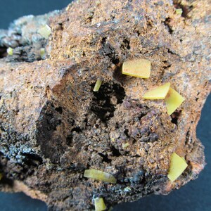 Yellow Wulfenite on Goethite - Mapimi, Mexico - Cabinet Specimen - Etsy