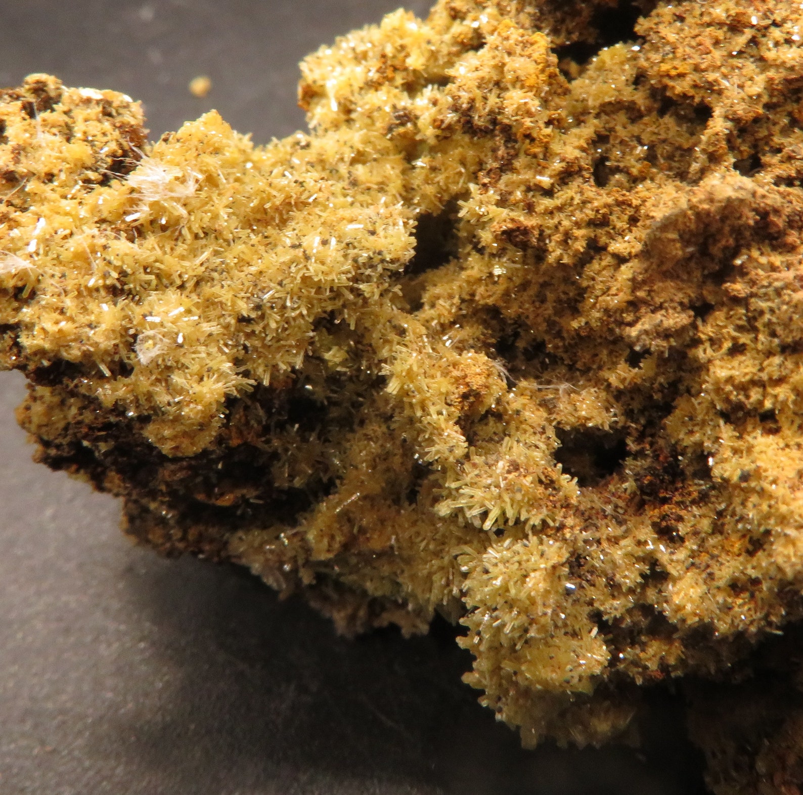 Green Mimetite on Goethite Mapimi Mexico Minitature | Etsy