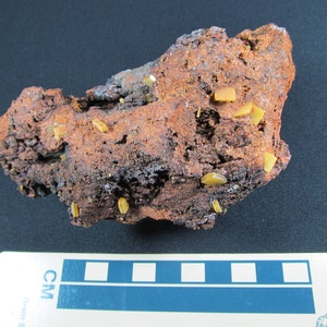 Yellow Wulfenite on Goethite - Mapimi, Mexico - Cabinet Specimen - Etsy