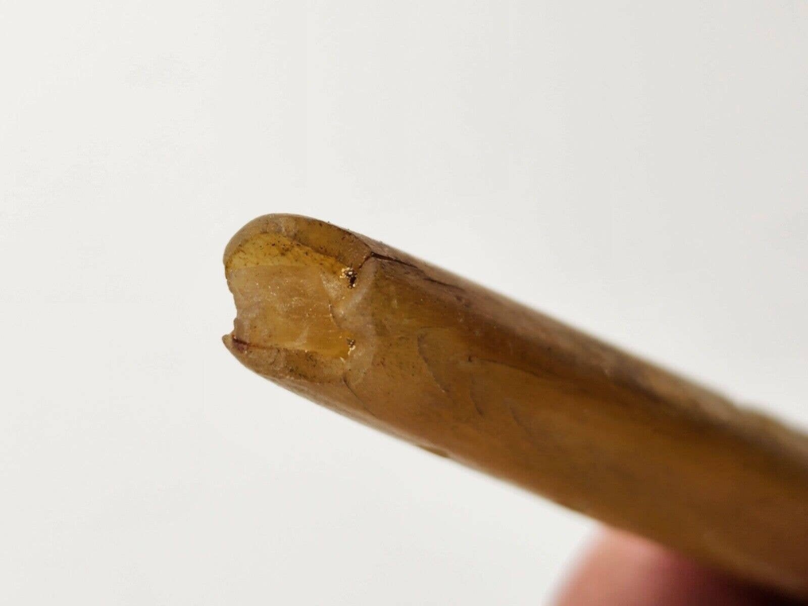 Vintage Carvel Camel Head Desk Set Letter Opener / Holder & Pen Tube ...