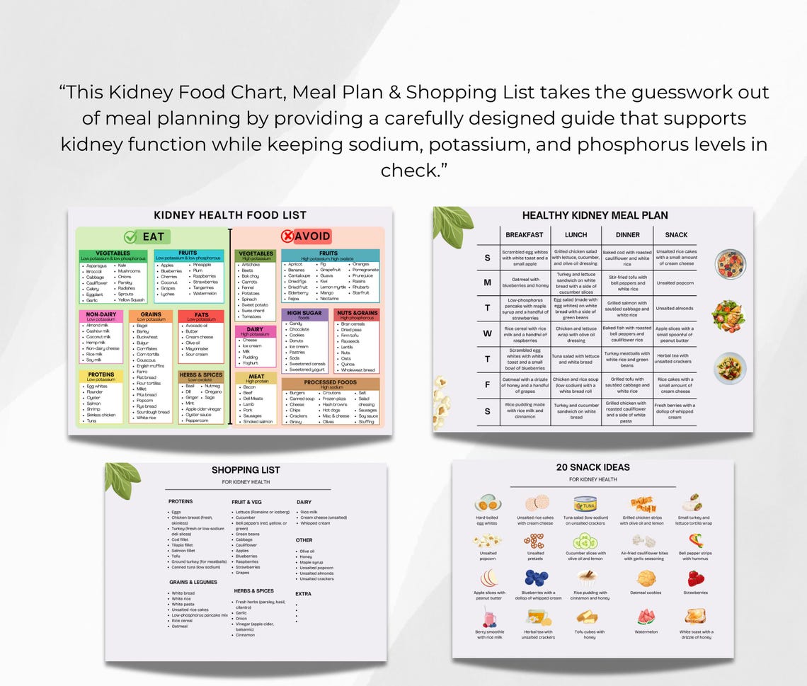 Kidney Food Chart, Kidney Disease Diet Meal Plan & Shopping List, Stage ...