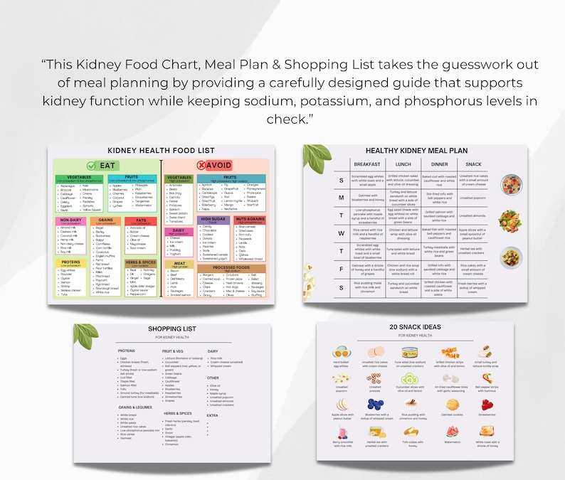 Kidney Food Chart, Kidney Disease Diet Meal Plan & Shopping List, Stage ...