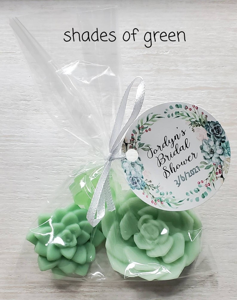 Succulent Bridal Shower Wedding Favors Baby Shower Favors - Etsy