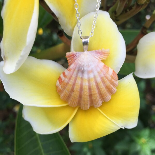 Sunrise Shell Necklace - Etsy
