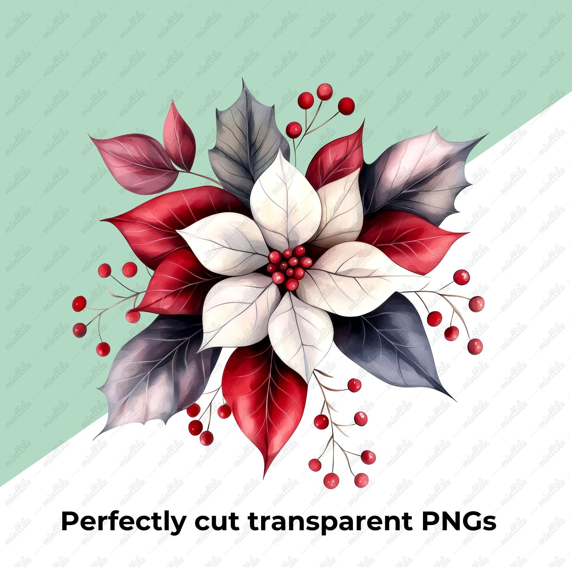 10 High-resolution Poinsettia Clipart for Christmas | PNG Transparent ...