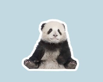 Vinyl Panda Stickers - Etsy