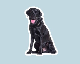 Black Lab Car Sticker - Etsy