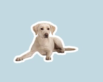 Yellow Lab Car Decal - Etsy