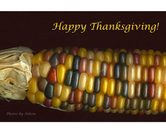 Happy Thanksgiving Corn Photo Greeting Card Maize Harvest - Etsy
