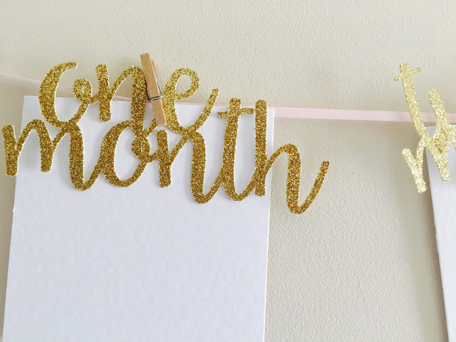 12 Month Photo Banner Monthly Banner Milestone Banner 1st - Etsy