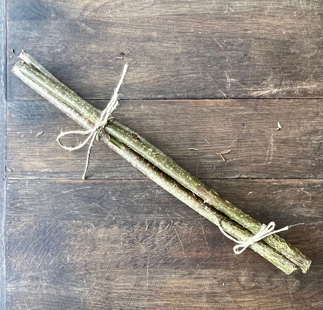 3x Organic Hazel Sticks Ca 50 Cm (about 20 Inch) Long, Ca 2 Cm Thick ...