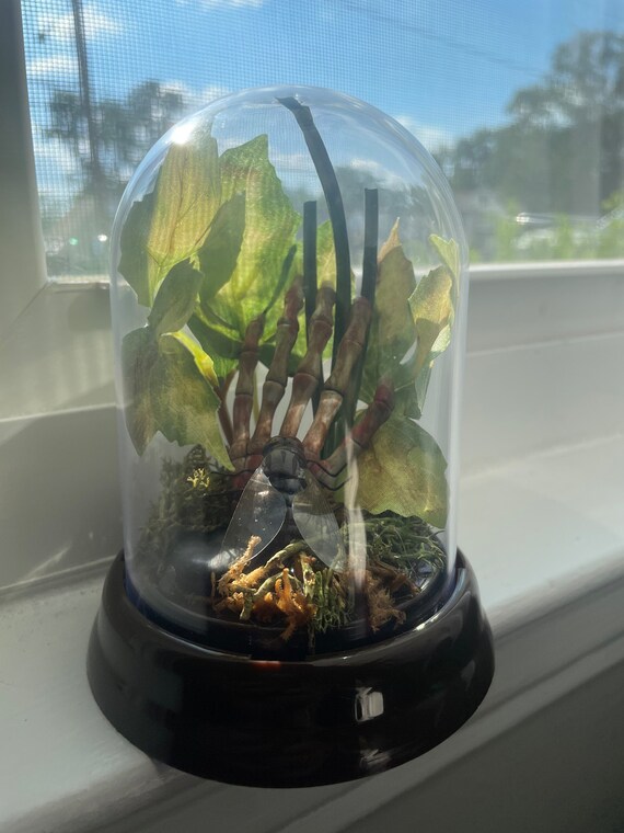 Spooky Skeleton Artificial Terrarium Decor - Etsy
