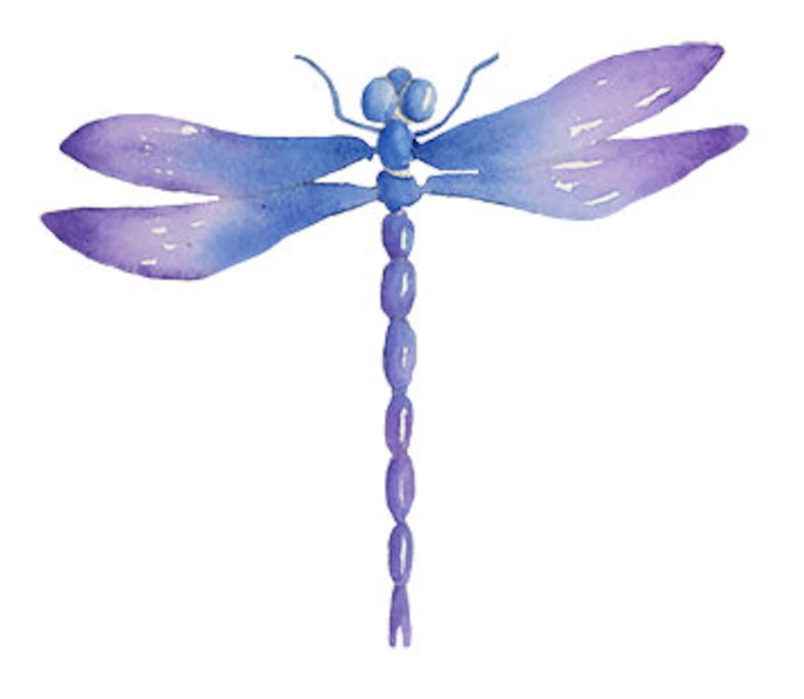 Watercolor Clipart Cattails & Dragonflies Clip Art, Hand Painted ...