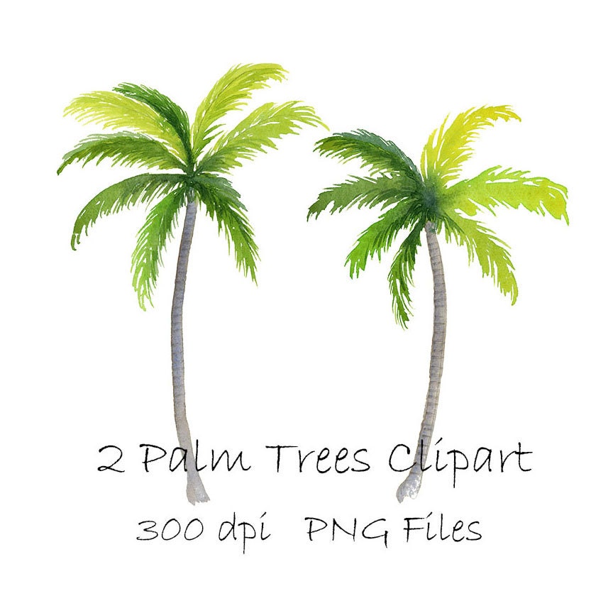 Watercolor Palm Tree Clipart, Tropical PNG Instant Download, Hand ...